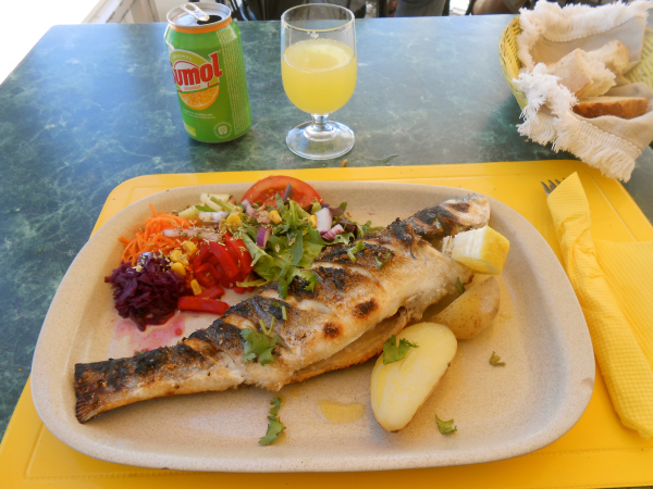 Javi’s robalo (sea bass) dish accompanied by zumol – a typical ...